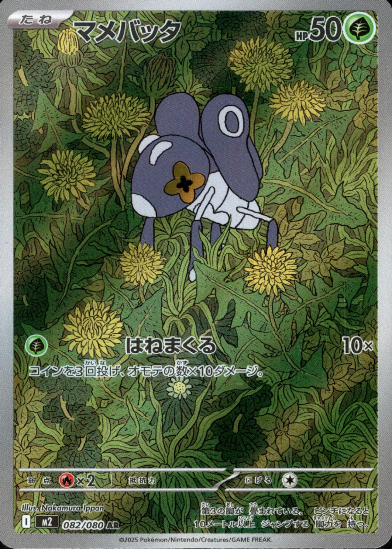 マメバッタ AR M2 082/080